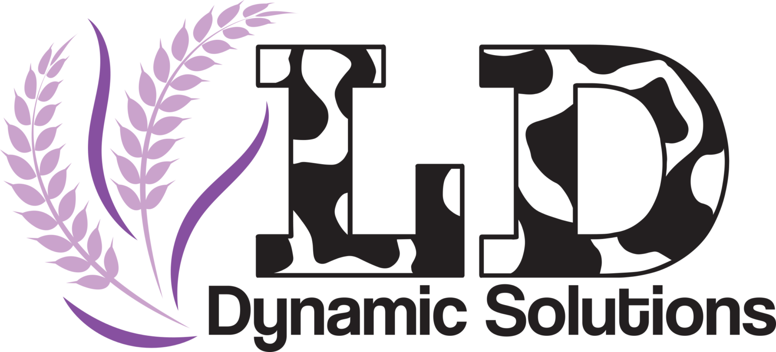 LD Dynamic Solutions LLC